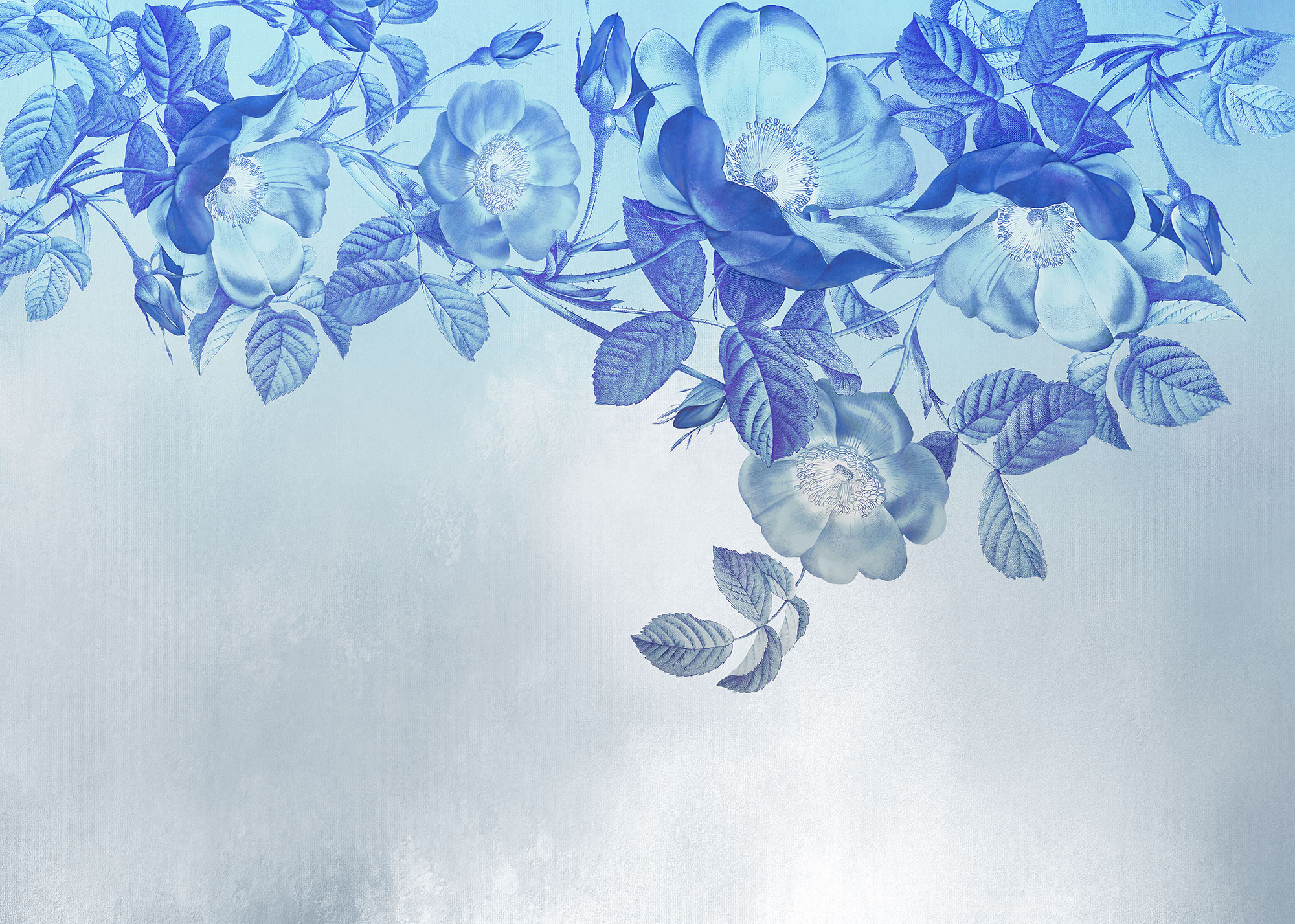 Blue Aura - Blaue Blumen Wandbild | Fototapete.de